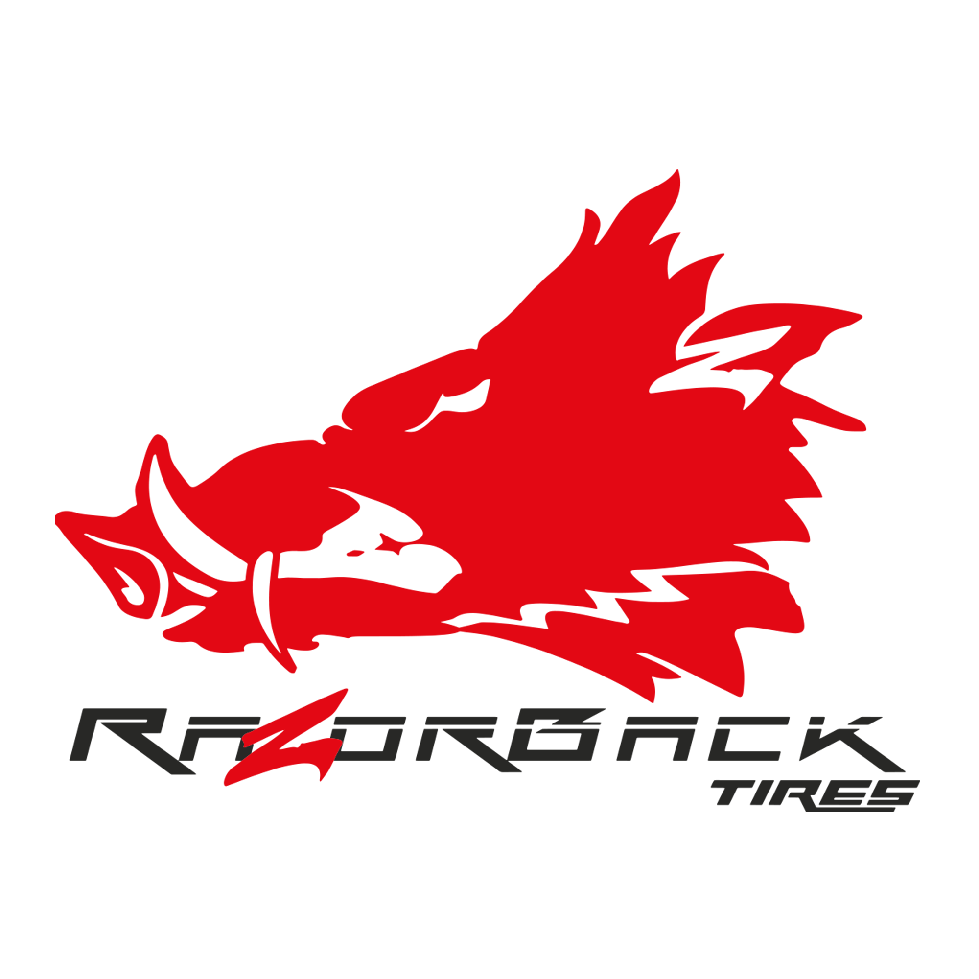 3. Logotypes – Pierce – Riders in e-commerce